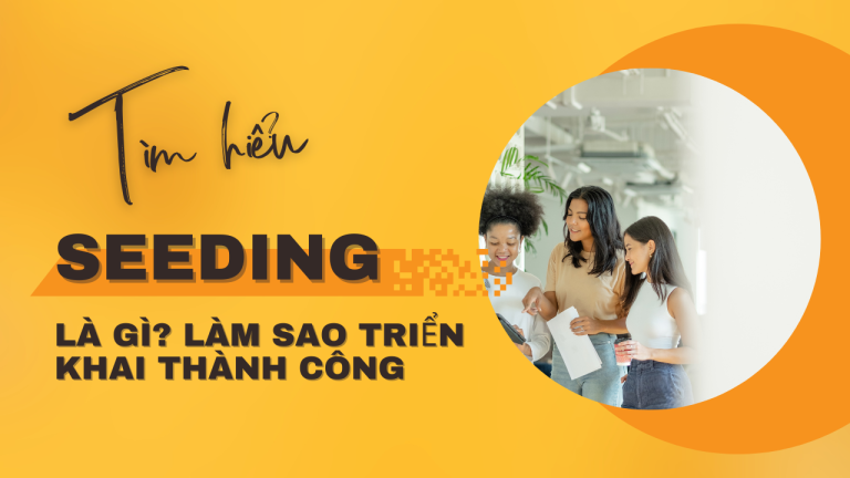 Seeding là gì? Làm sao để seeding thành công? - Blog VSIS.net